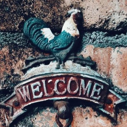 Draft Central - FantasyRooster.com